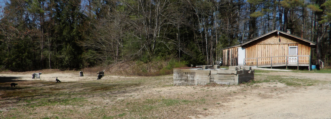 About - royal river rod & gun club